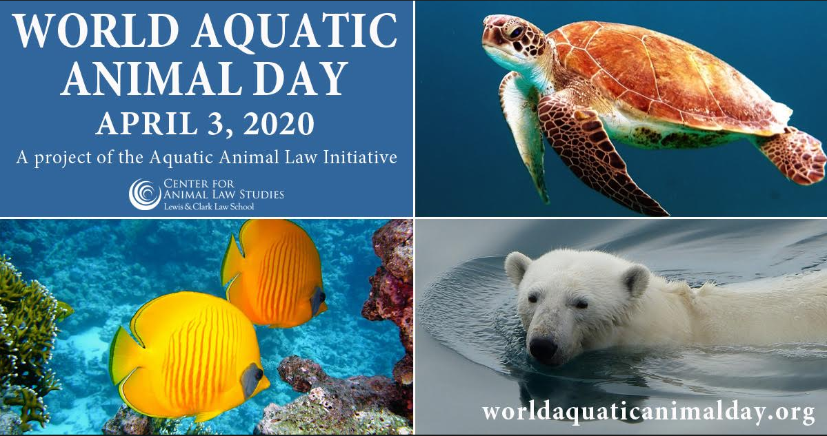 世界水生动物日 World Aquatic Animal Day 2020 – 中国动物法前沿 China Animal Law Frontier - CALF